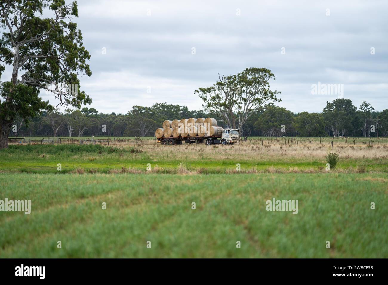 Grain carting hi-res stock photography and images - Alamy