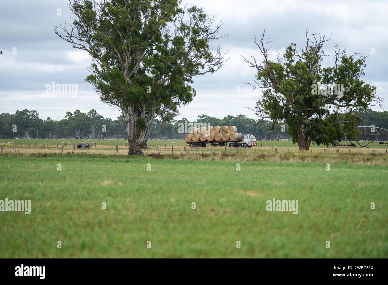 Grain carting hi-res stock photography and images - Alamy
