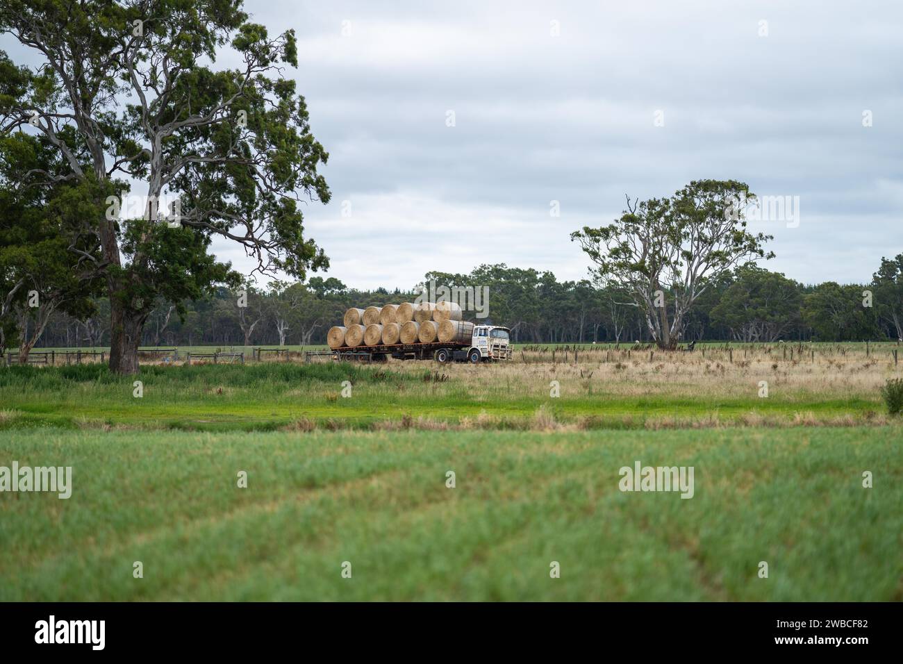 Grain carting hi-res stock photography and images - Alamy