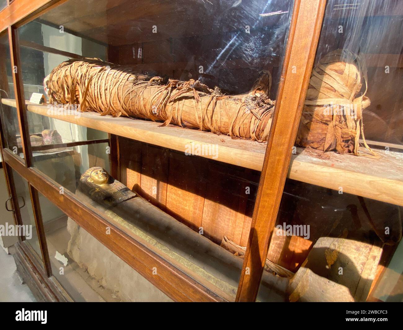 Cairo, Egypt. 08th Jan, 2022. Ancient mummies lie in the closet in the ...