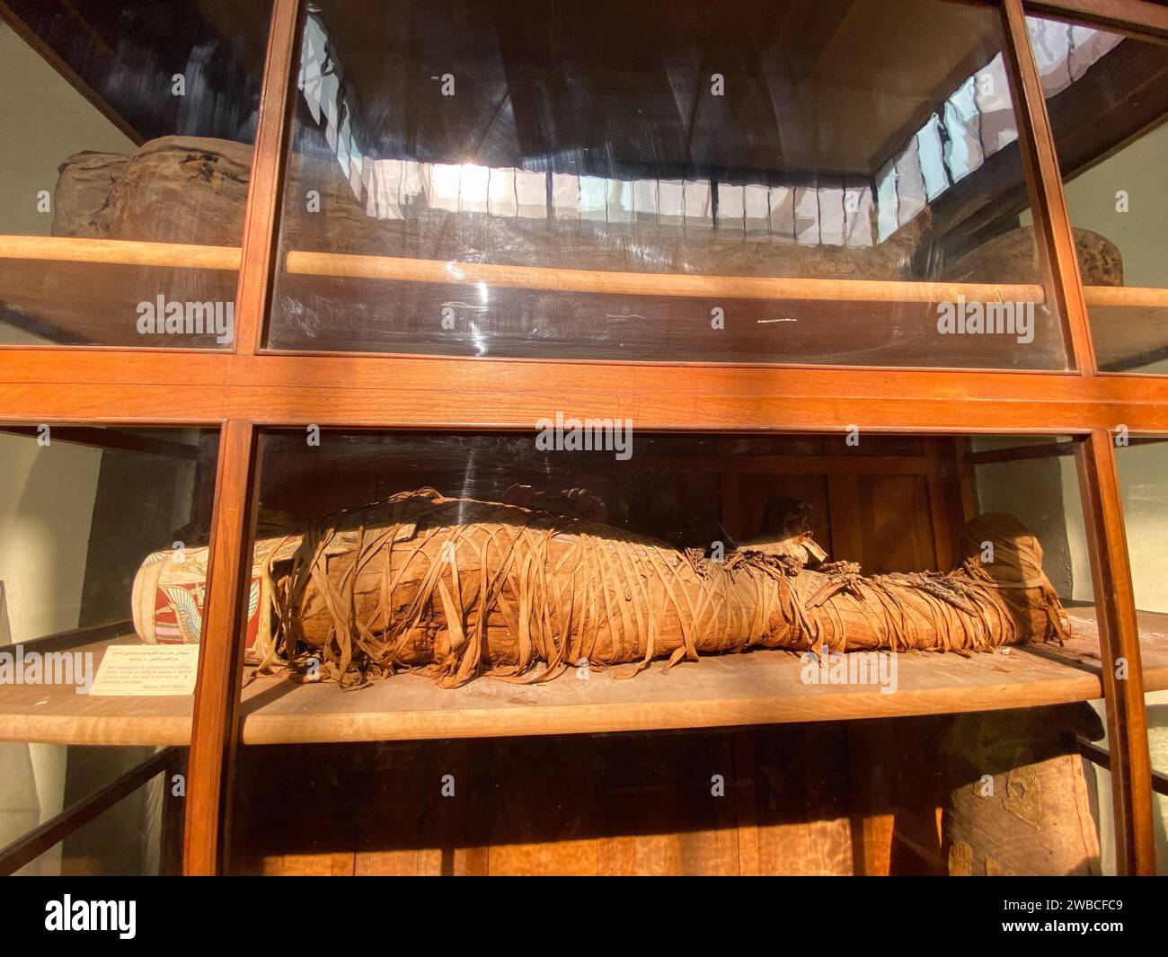 Cairo, Egypt. 08th Jan, 2022. Ancient mummies lie in the closet in the ...