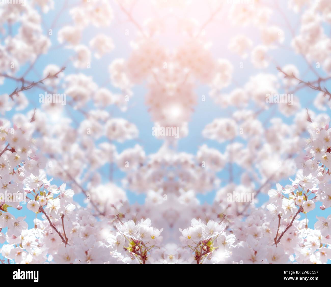Flower and light; background or texture; spring concept Stock Photo - Alamy
