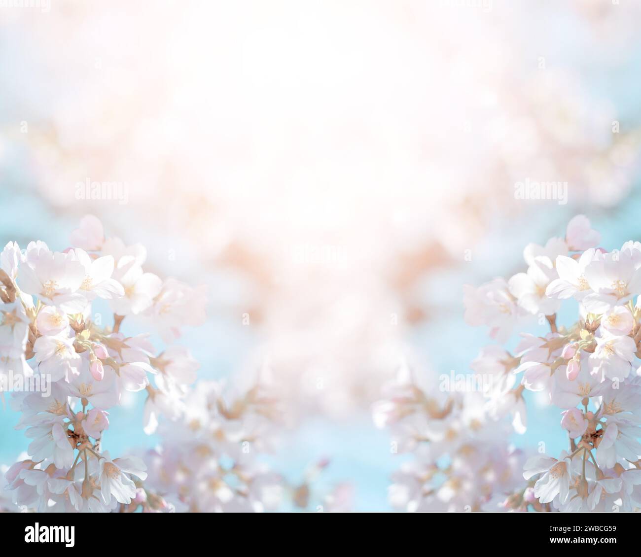 Flower and light; background or texture; spring concept Stock Photo - Alamy