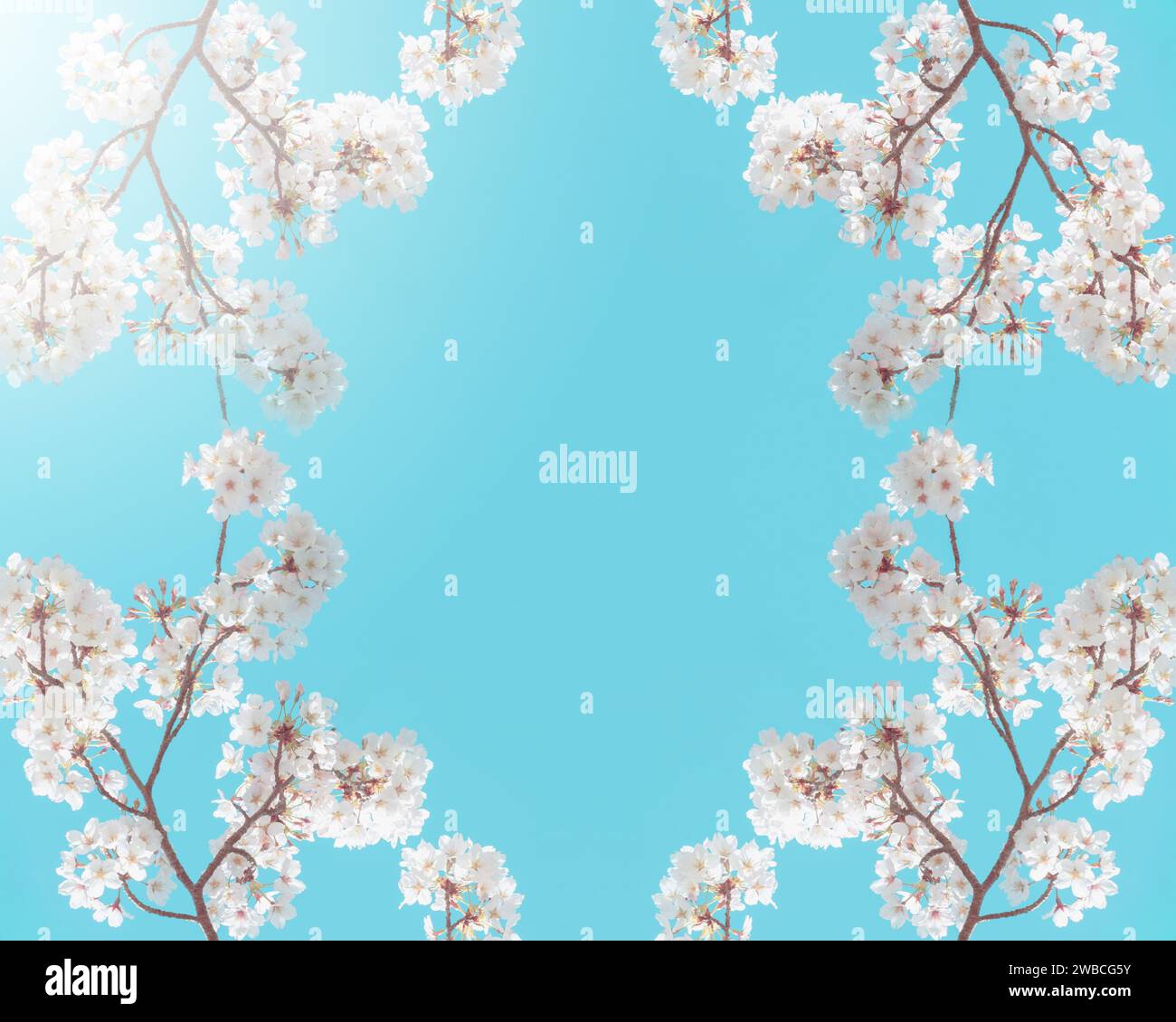 Flower and light; background or texture; spring concept Stock Photo - Alamy