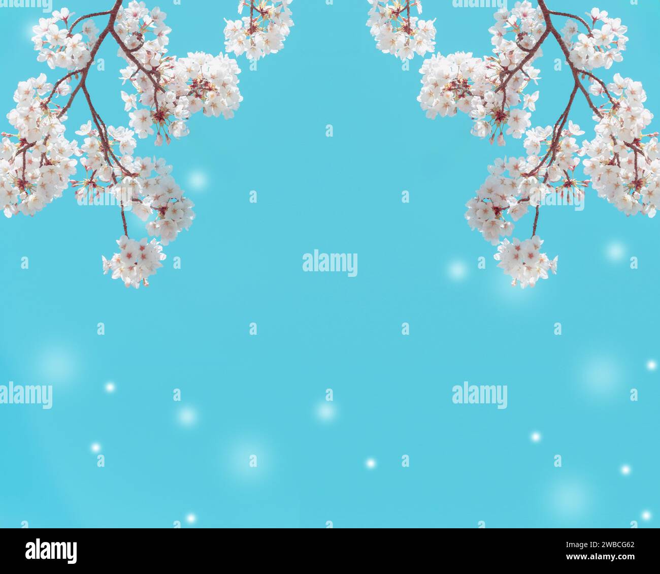 Flower and light; background or texture; spring concept Stock Photo - Alamy
