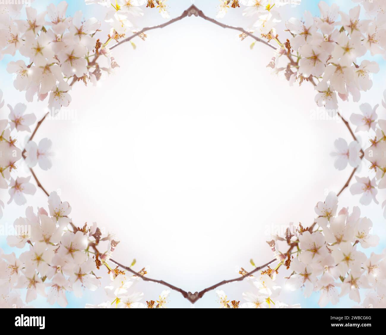 Flower and light; background or texture; spring concept Stock Photo - Alamy