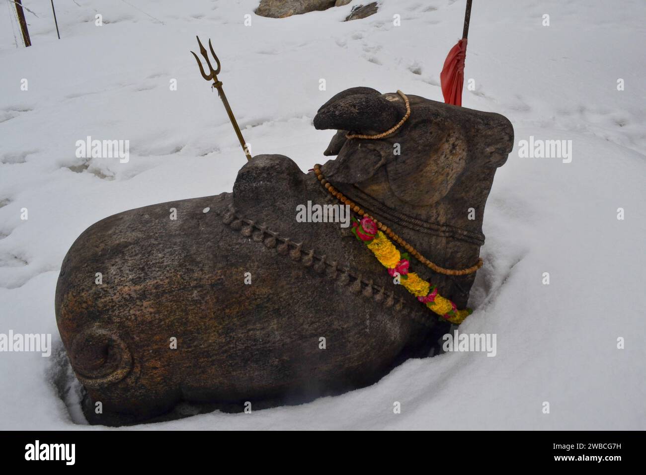 Nandi the sacred bull calf, gatekeeper, vehicle of the Hindu god Shiva ...