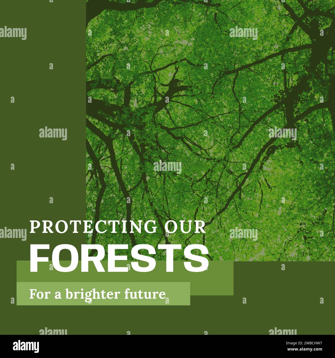 Composite of protecting our forests for a brighter future text, scenic ...