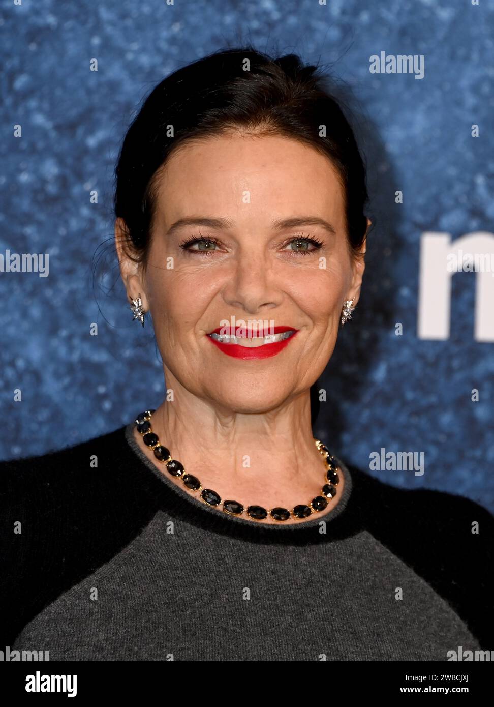Hollywood, USA. 09th Jan, 2024. Meredith Salenger arriving at HBO's ...