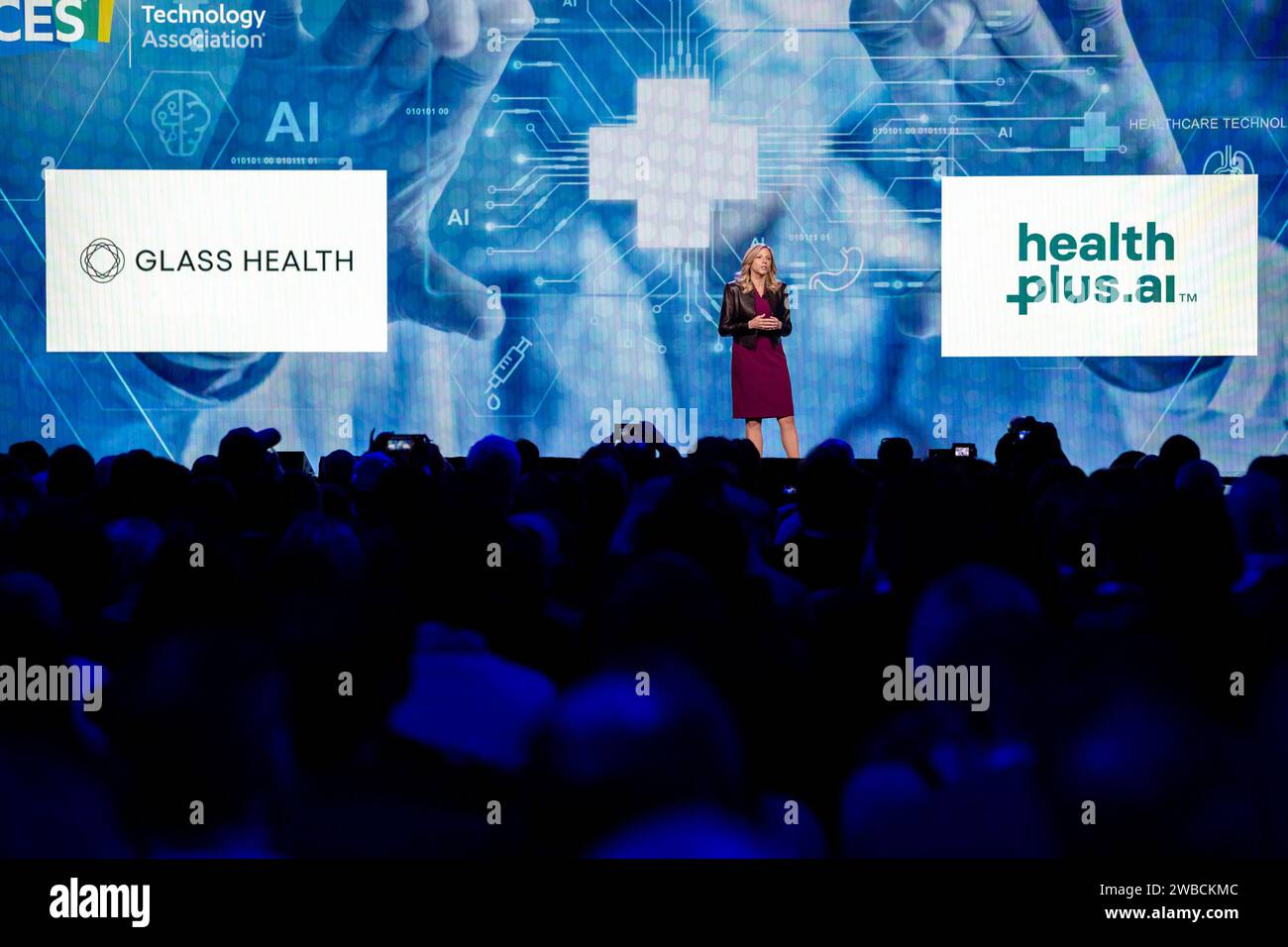 Las Vegas, USA. 09th Jan, 2024. Kinsey Fabrizio, Sr. VP, CES and Membership, Consumer Technology ...