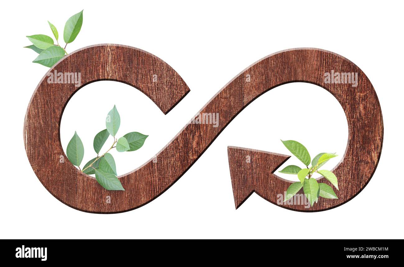 Circular economy symbol from wood with leaves. Sustainable development ...