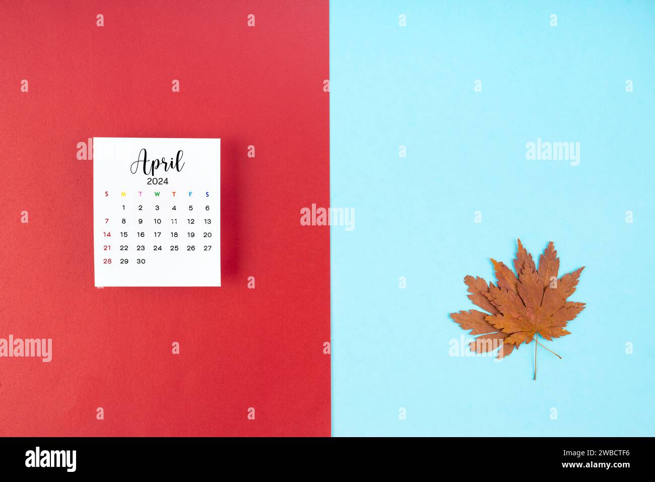 Top view of a April 2024 calendar and autumn foliage on a red and blue ...