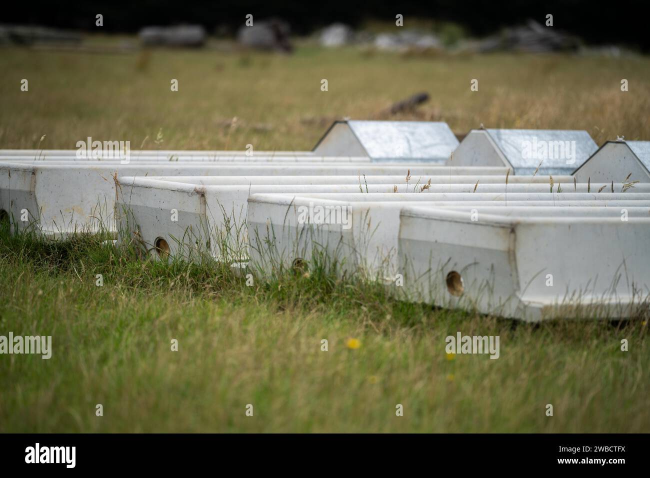 livestock water trough in a field on a cattle farm in Australia Stock ...