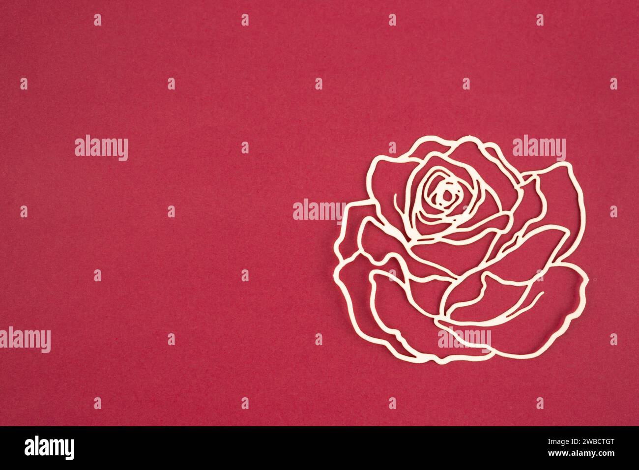Carve of paper rose flower on a red cardboard background, position with ...