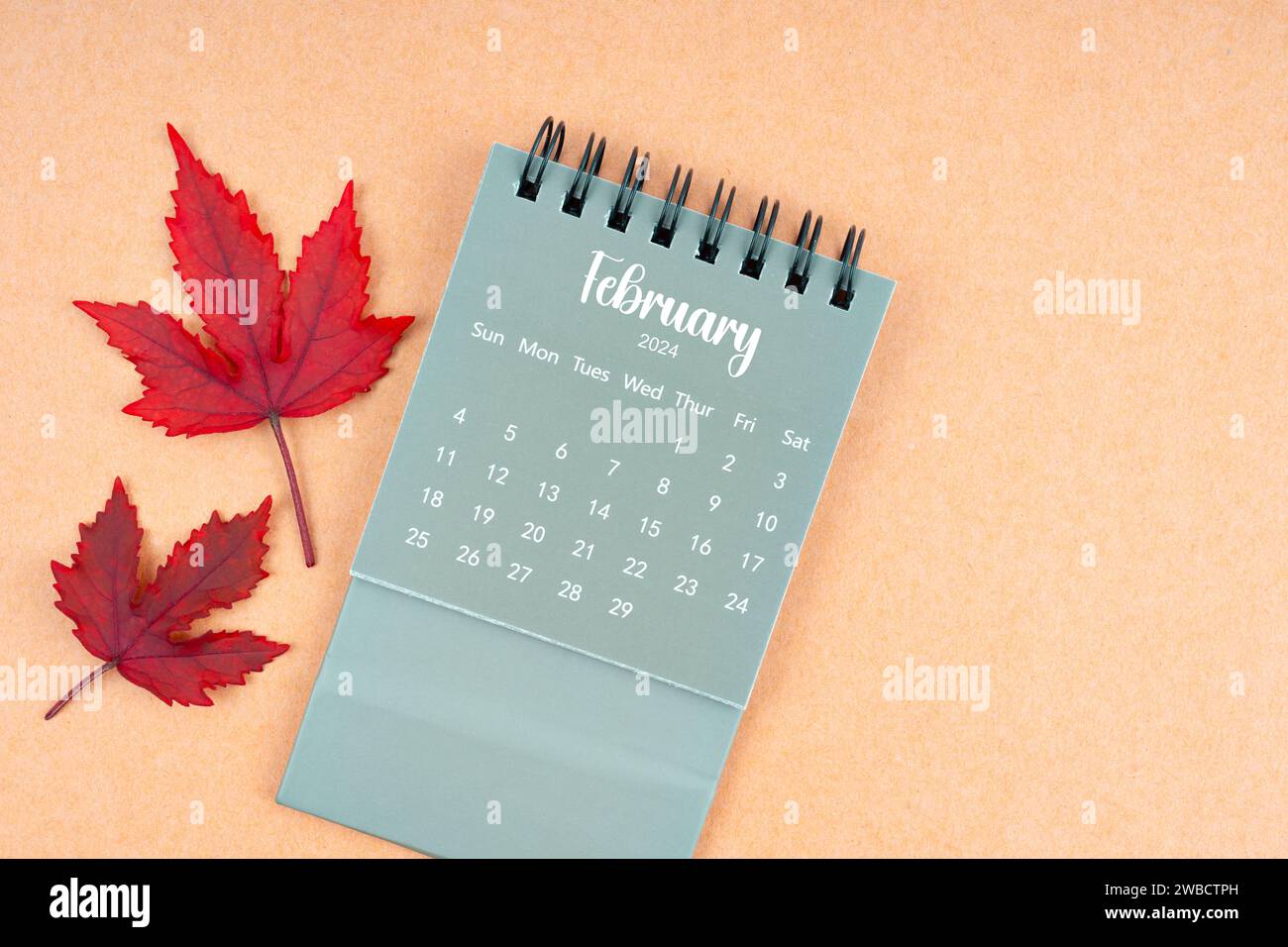 February 2024 monthly calendar and fall leaves on brown background ...