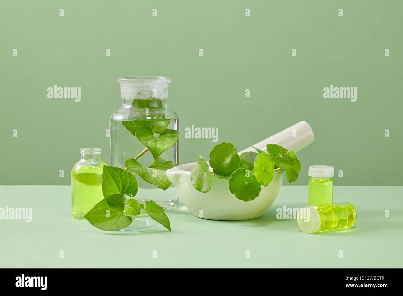 Concept for advertising cosmetic with natural extract from centella and ...