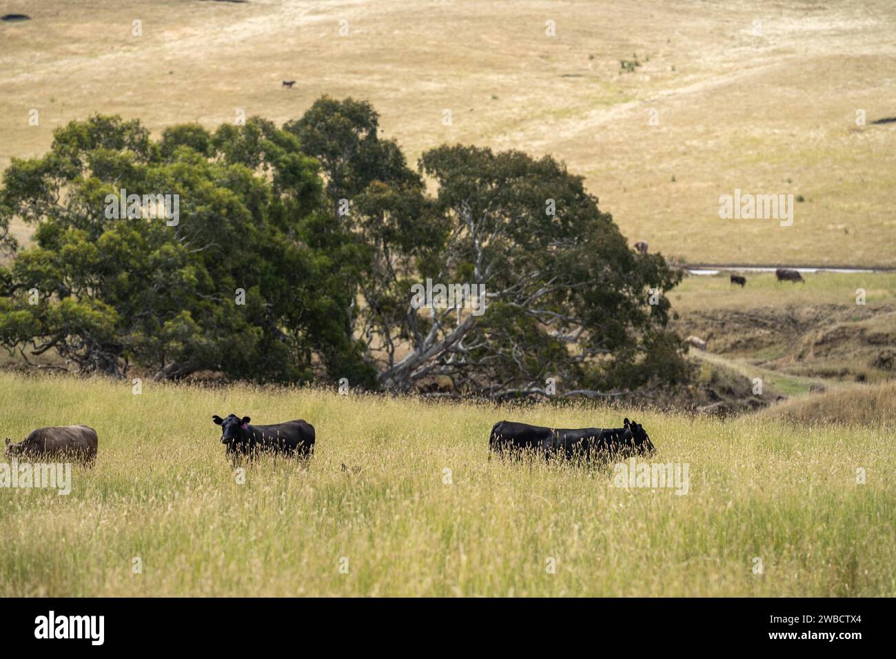 Beautiful farming landscape hi-res stock photography and images - Alamy