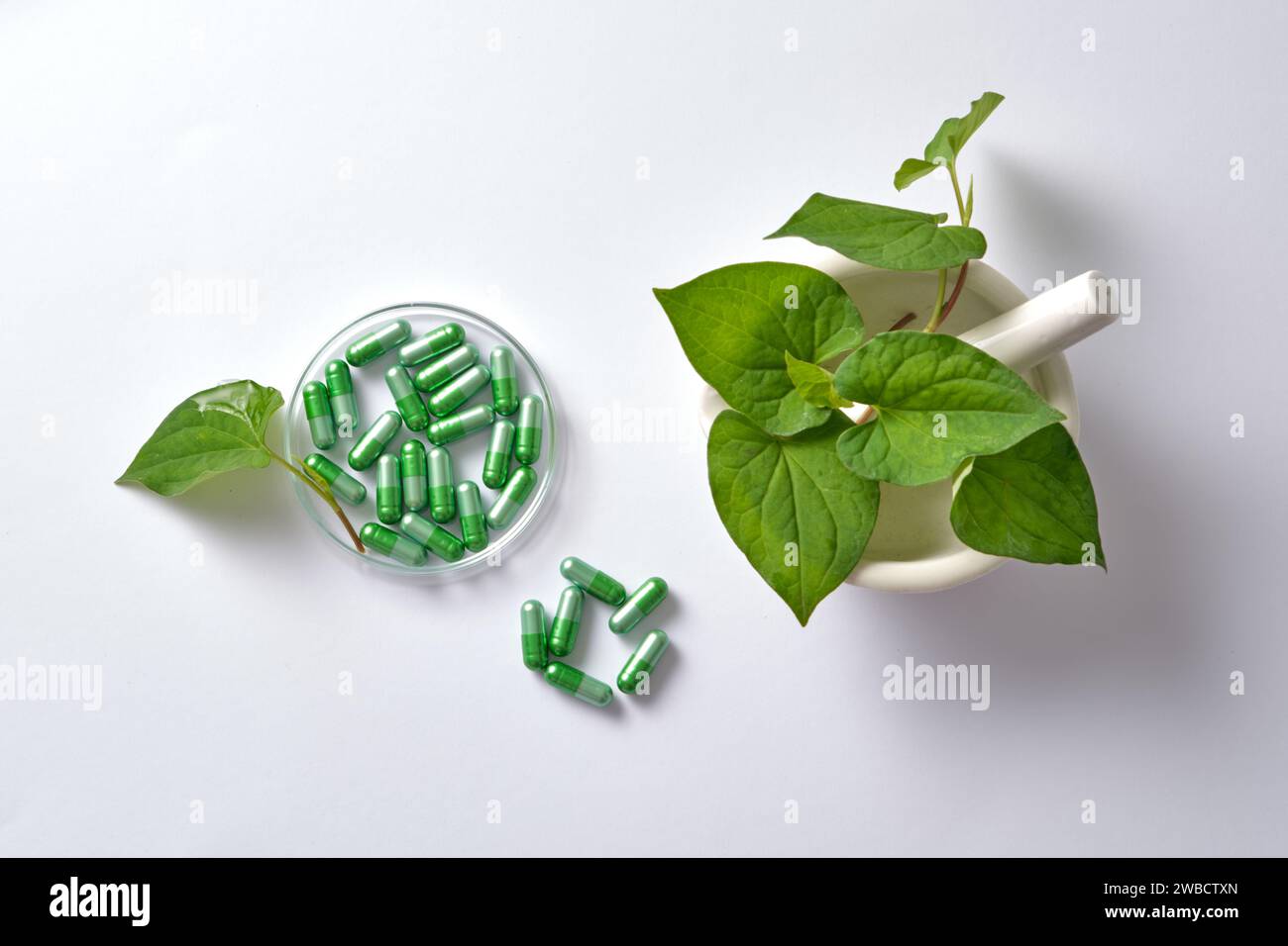 Scene for advertising and branding cosmetic product of ingredient from ...