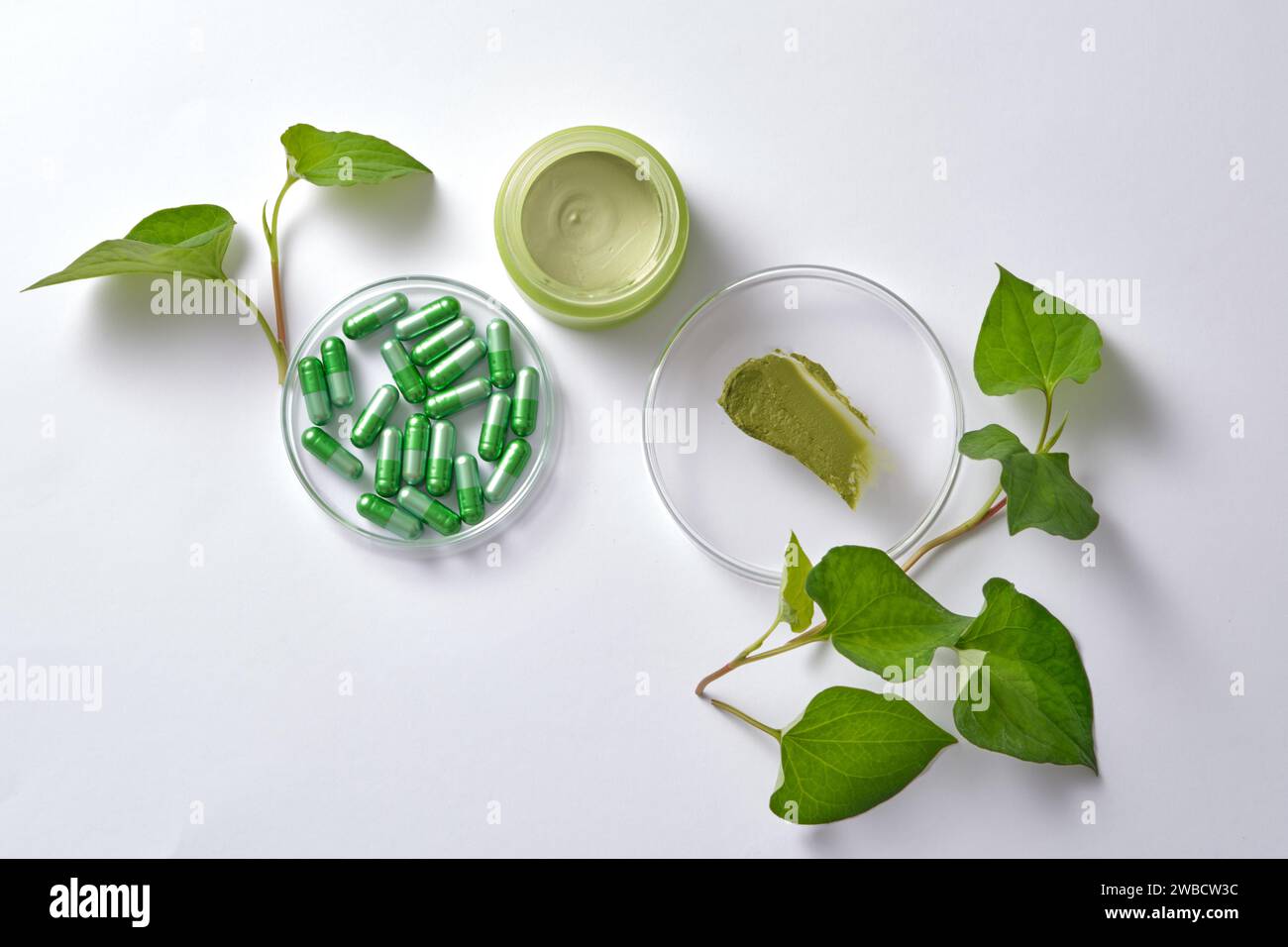 Background for advertising cosmetic with fish mint extract - fresh fish ...
