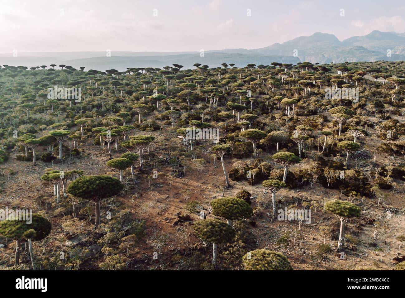 Aerial view iconic dragon hi-res stock photography and images - Alamy