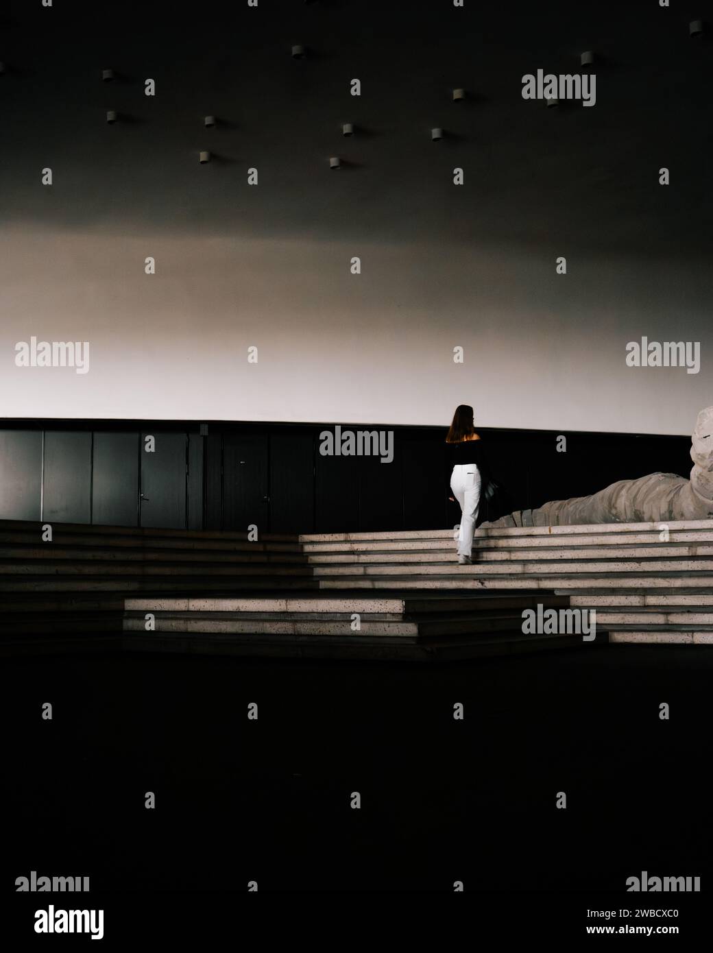 The Lone Wanderer: A Journey into the Unknown Stock Photo - Alamy