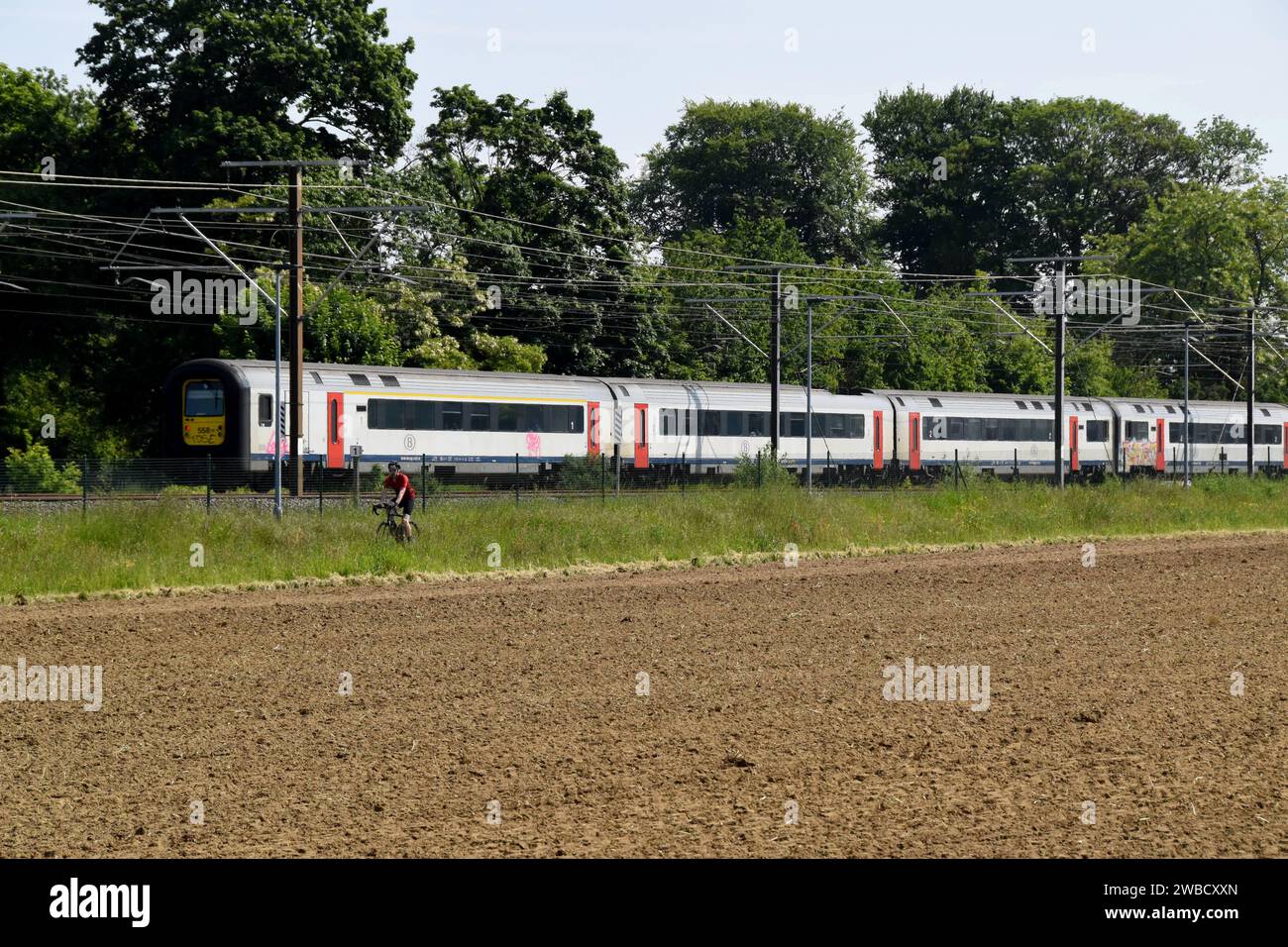 Belgian Railways Class 96 Electric train passing a cyclist near Herent ...