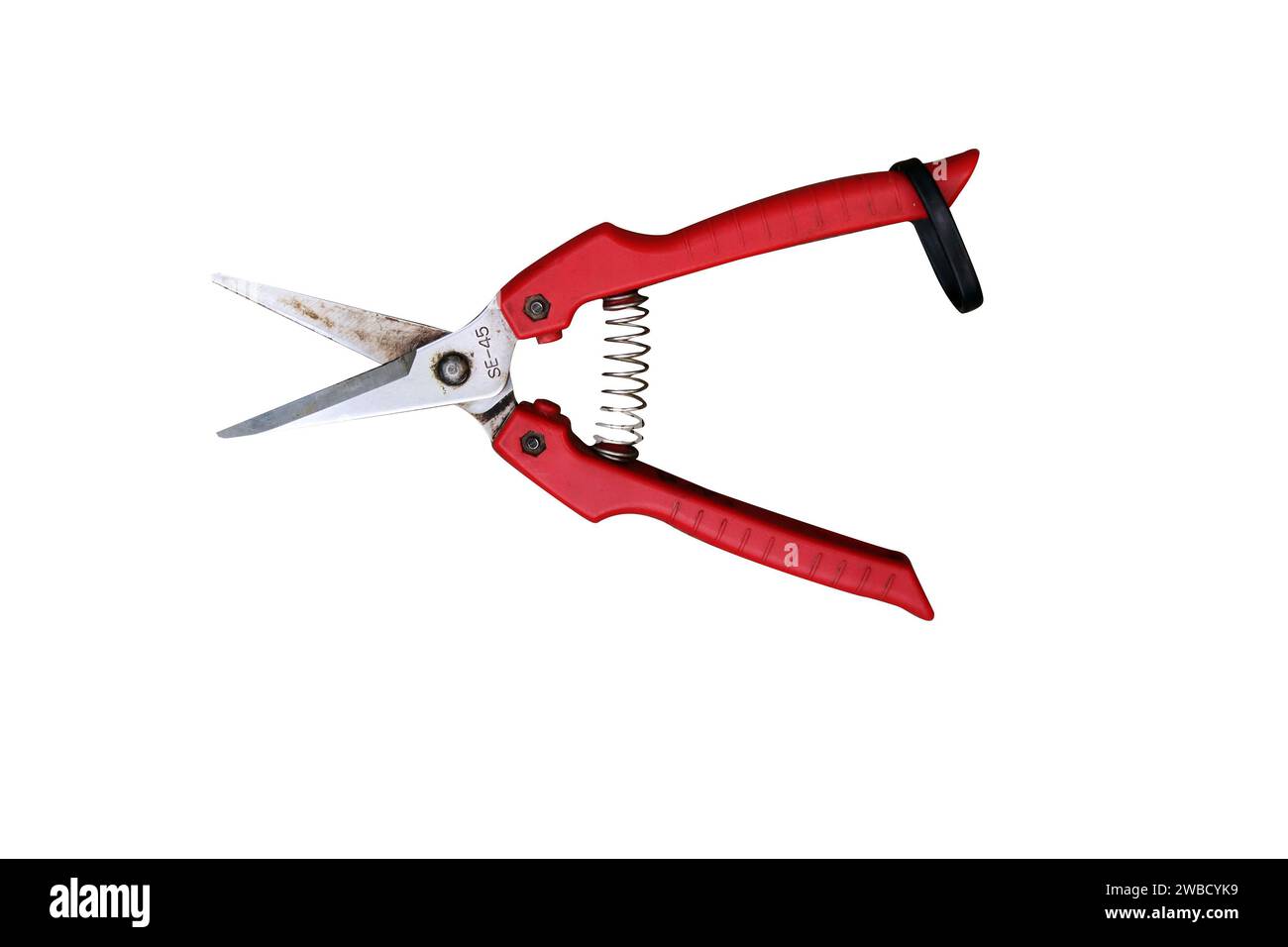 Pruning branches shears Cut Out Stock Images & Pictures - Alamy