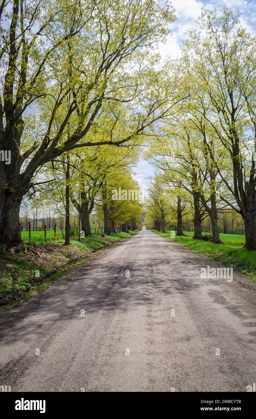 Pennsylvania backroads hi-res stock photography and images - Alamy