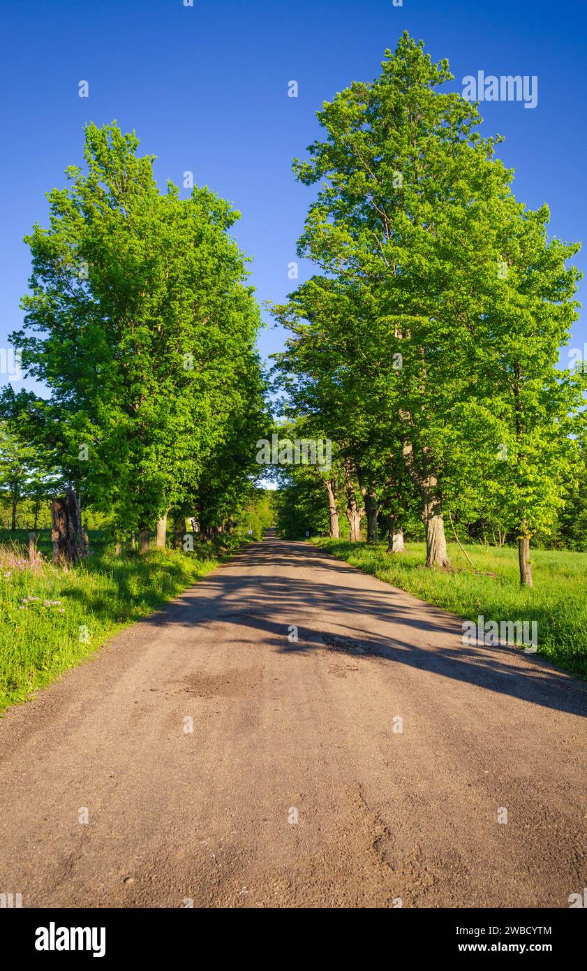 Pennsylvania backroads hi-res stock photography and images - Alamy