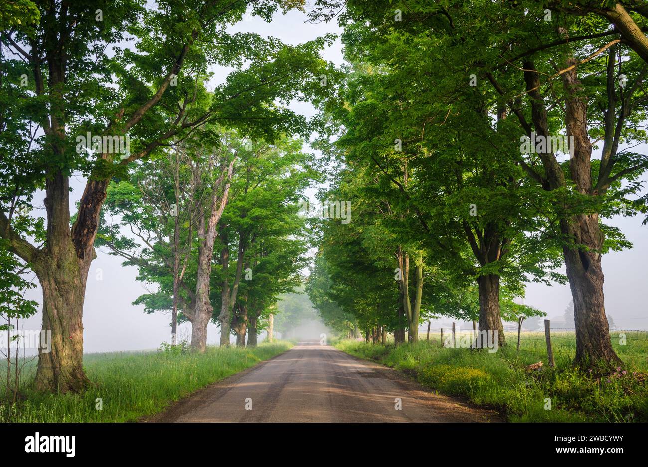 Pennsylvania backroads hi-res stock photography and images - Alamy