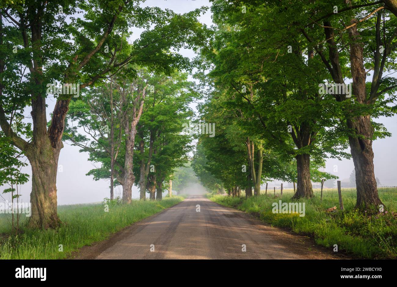 A Rural Road in Sugar Grove, Pennsylvania Stock Photo - Alamy