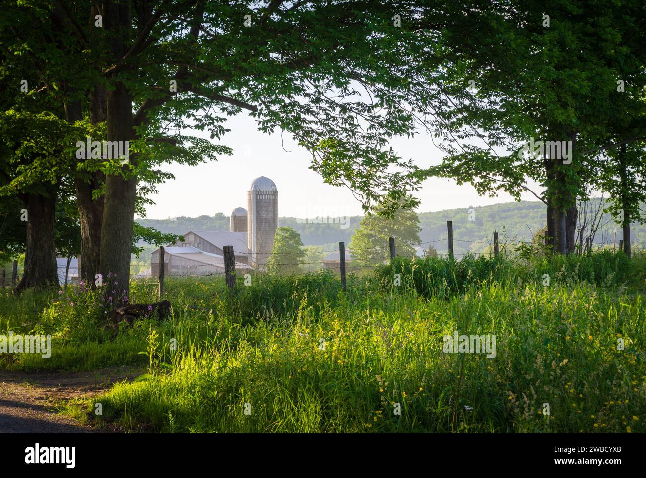 Farm Barns and Silos in Sugar Grove, Pennsylvania, USA Stock Photo - Alamy