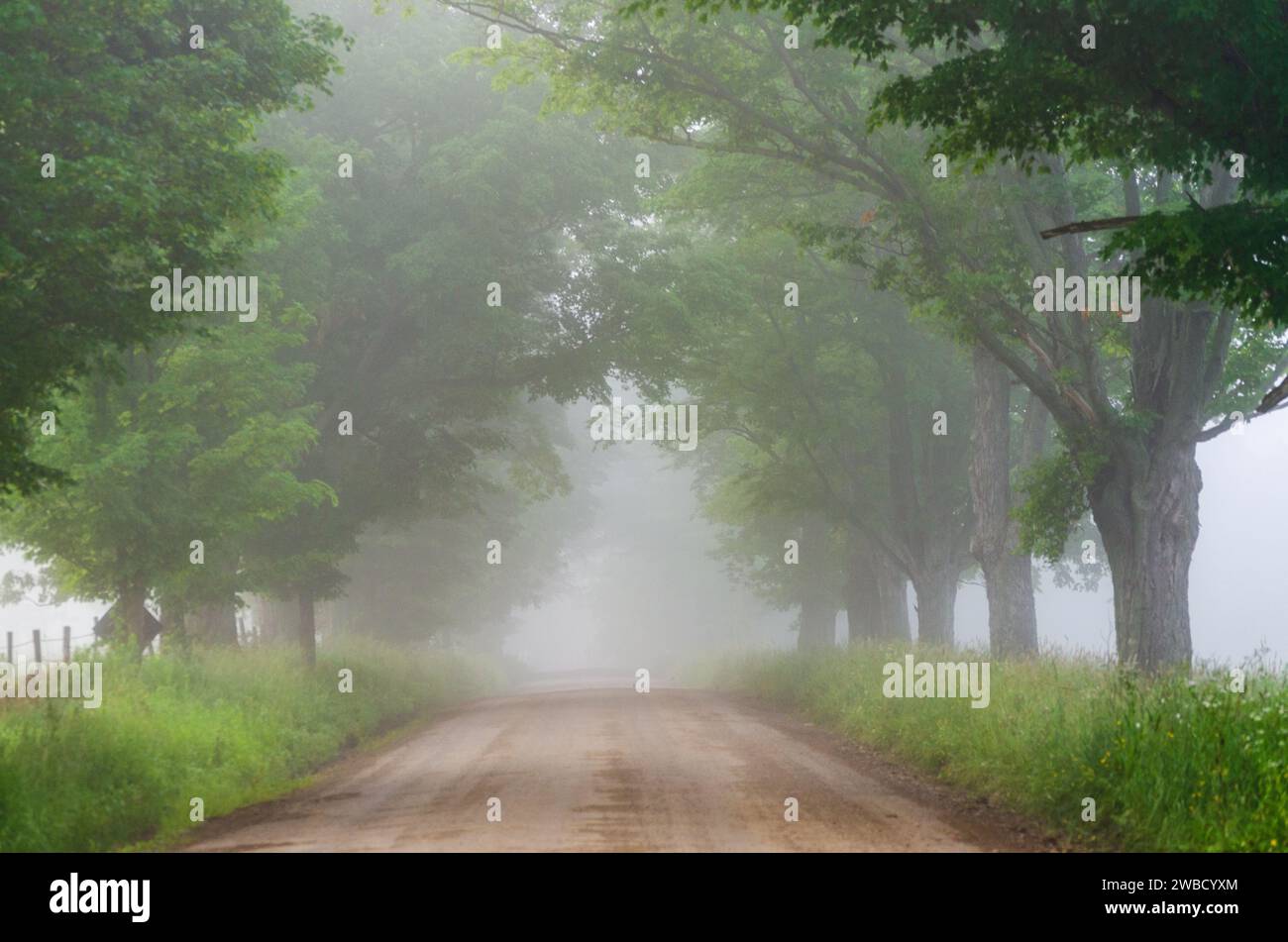 Charming rural roads hi-res stock photography and images - Alamy