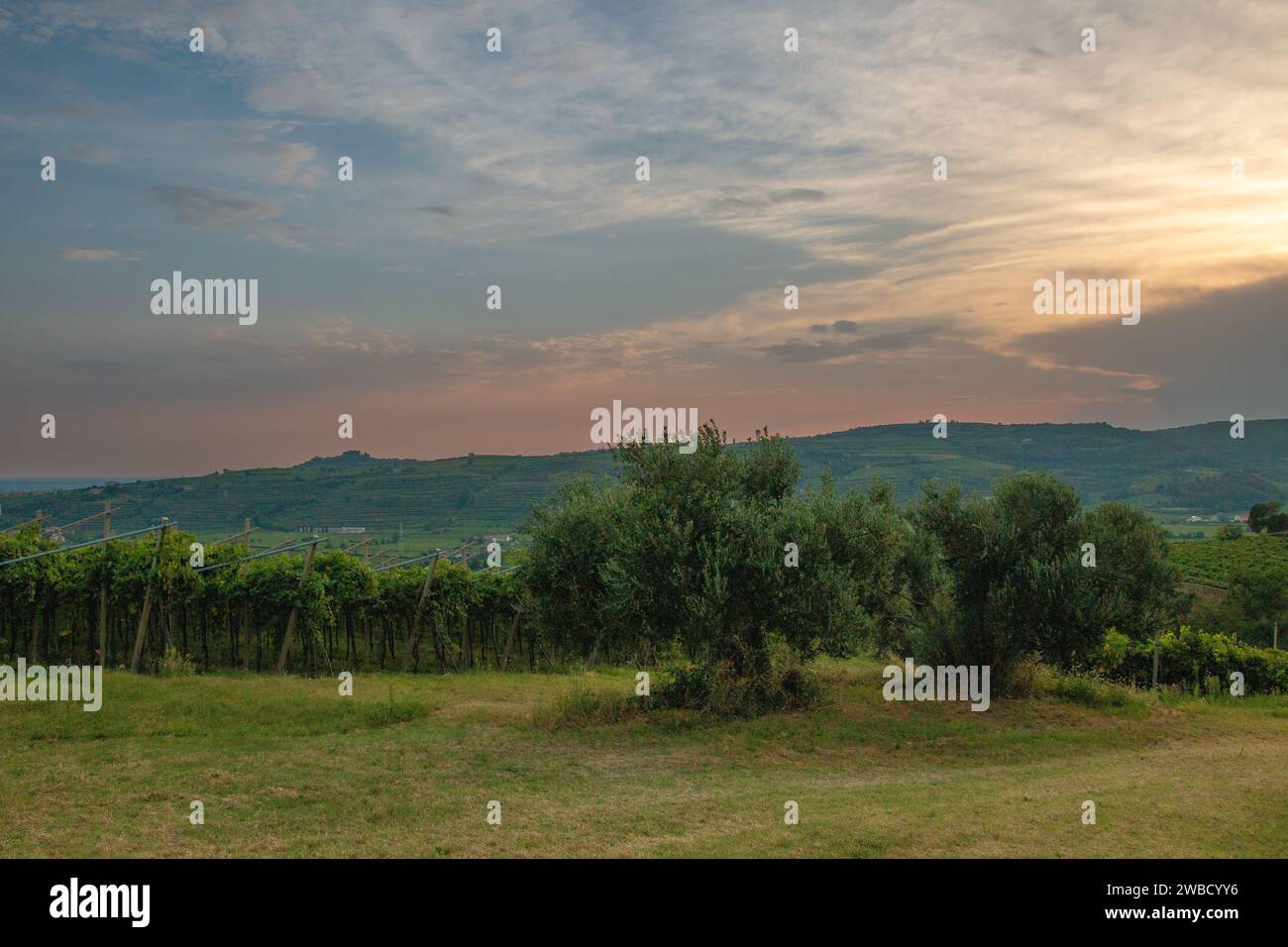 Soave verona hi-res stock photography and images - Alamy