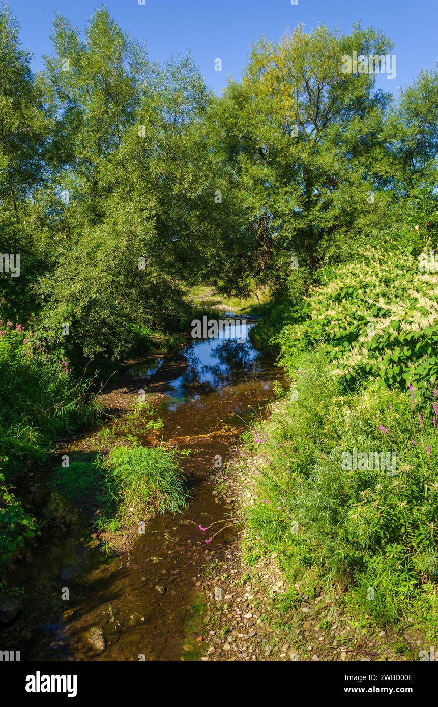 Conewango Creek in Sugar Grove, Pennsylvania, USA Stock Photo - Alamy