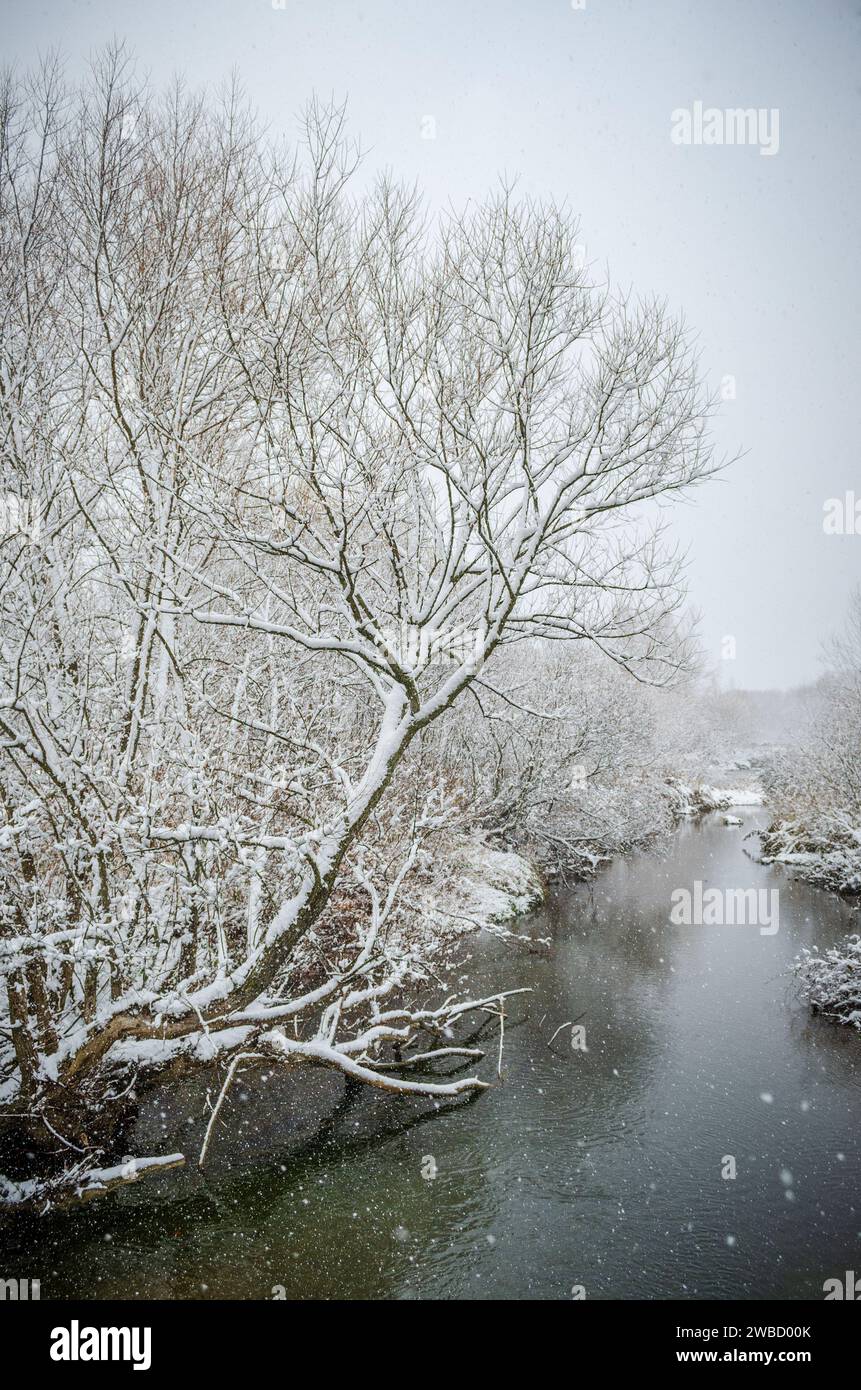 Conewango Creek in Sugar Grove, Pennsylvania, USA Stock Photo - Alamy