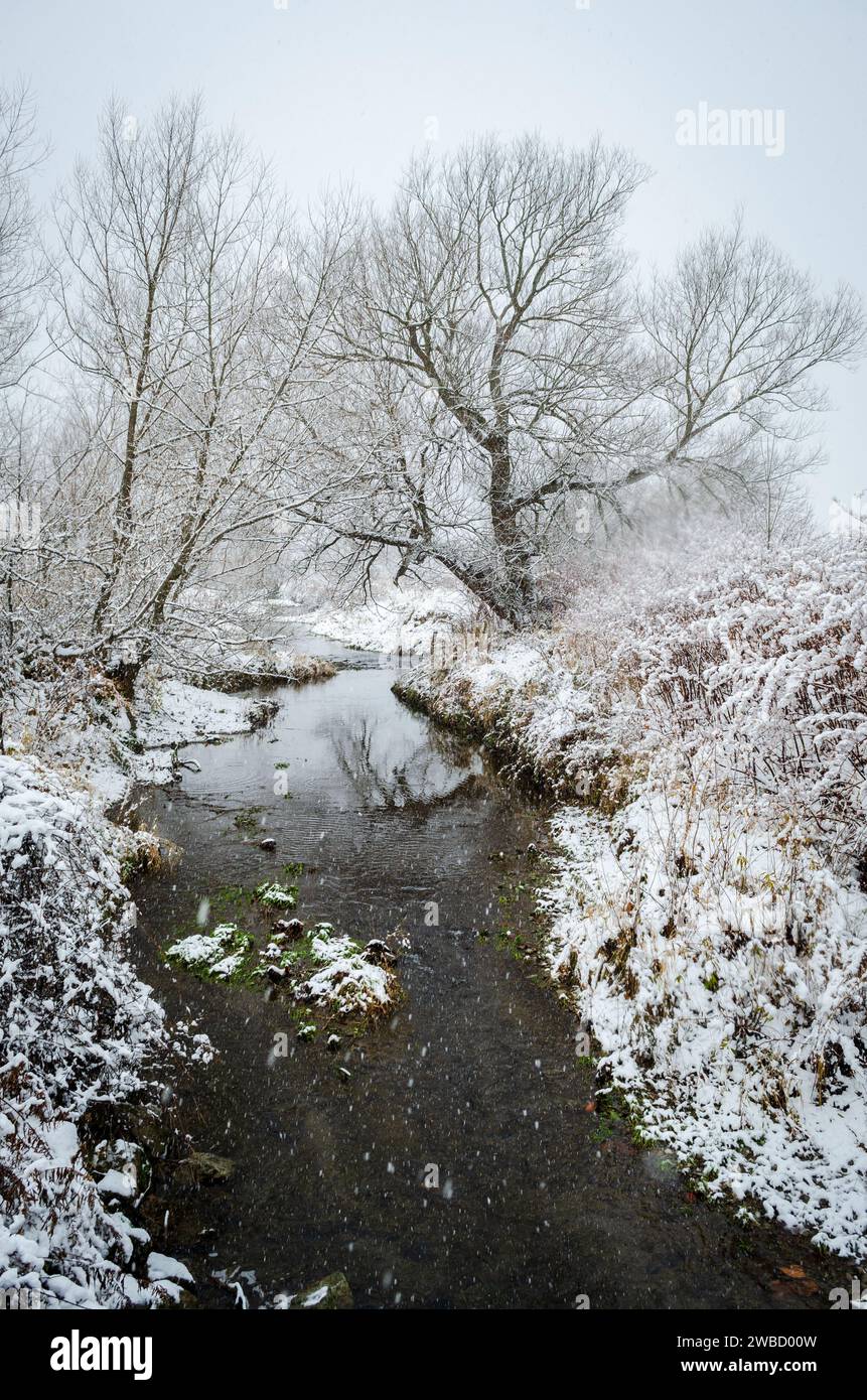 Conewango Creek in Sugar Grove, Pennsylvania, USA Stock Photo - Alamy