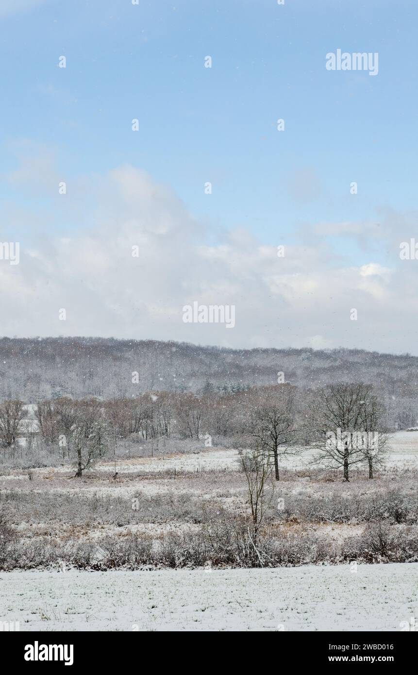 Vast pasturelands hi-res stock photography and images - Alamy
