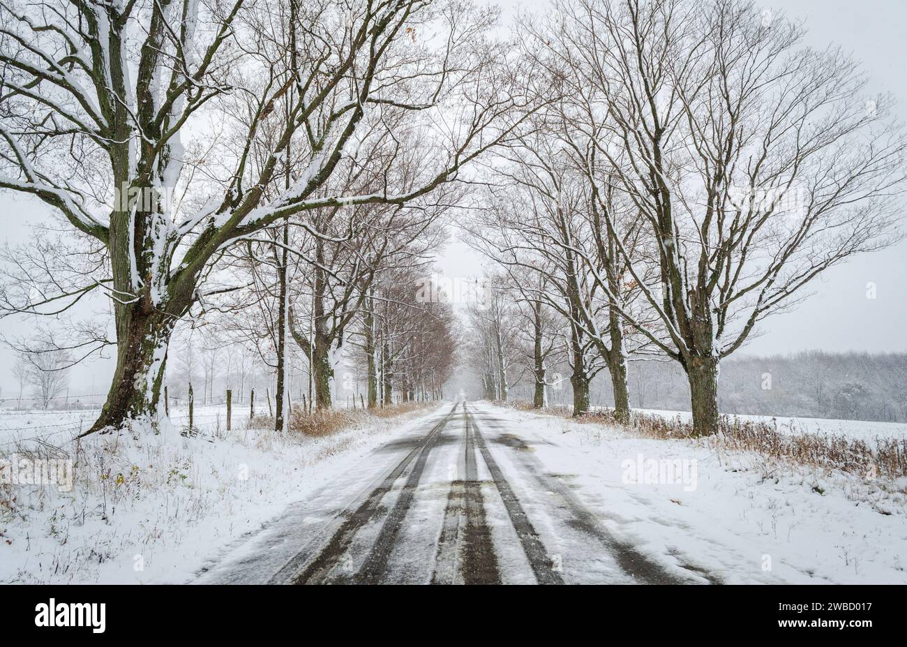 Charming rural roads hi-res stock photography and images - Alamy