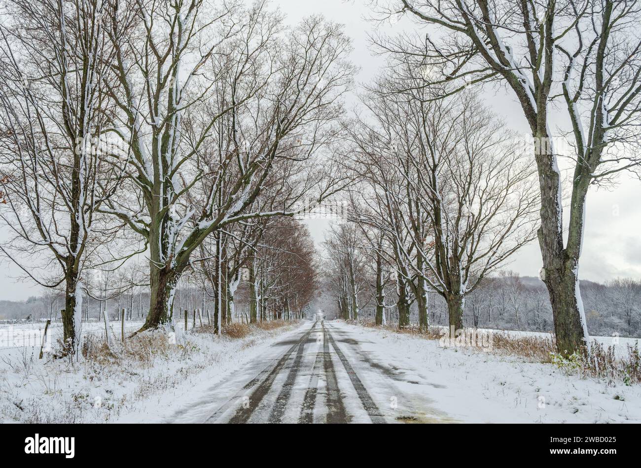 Charming rural roads hi-res stock photography and images - Alamy