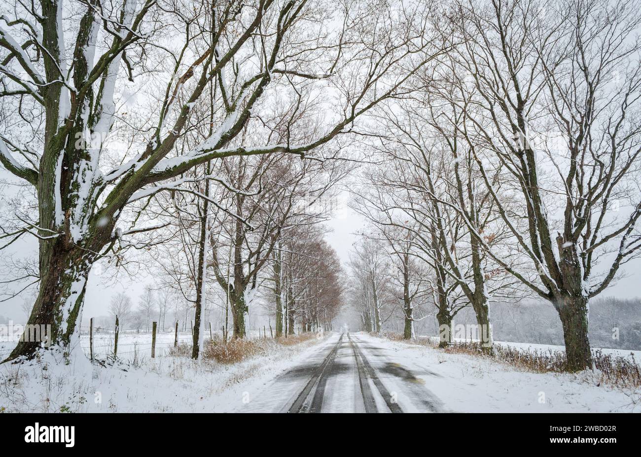 A Rural Road in Sugar Grove, Pennsylvania Stock Photo - Alamy