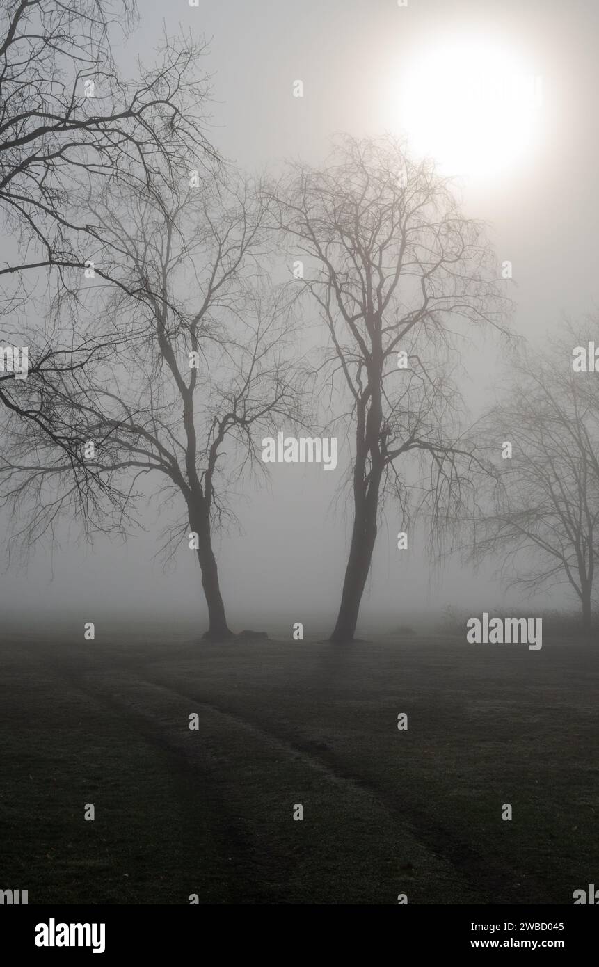 A Rural Road in Sugar Grove, Pennsylvania Stock Photo - Alamy