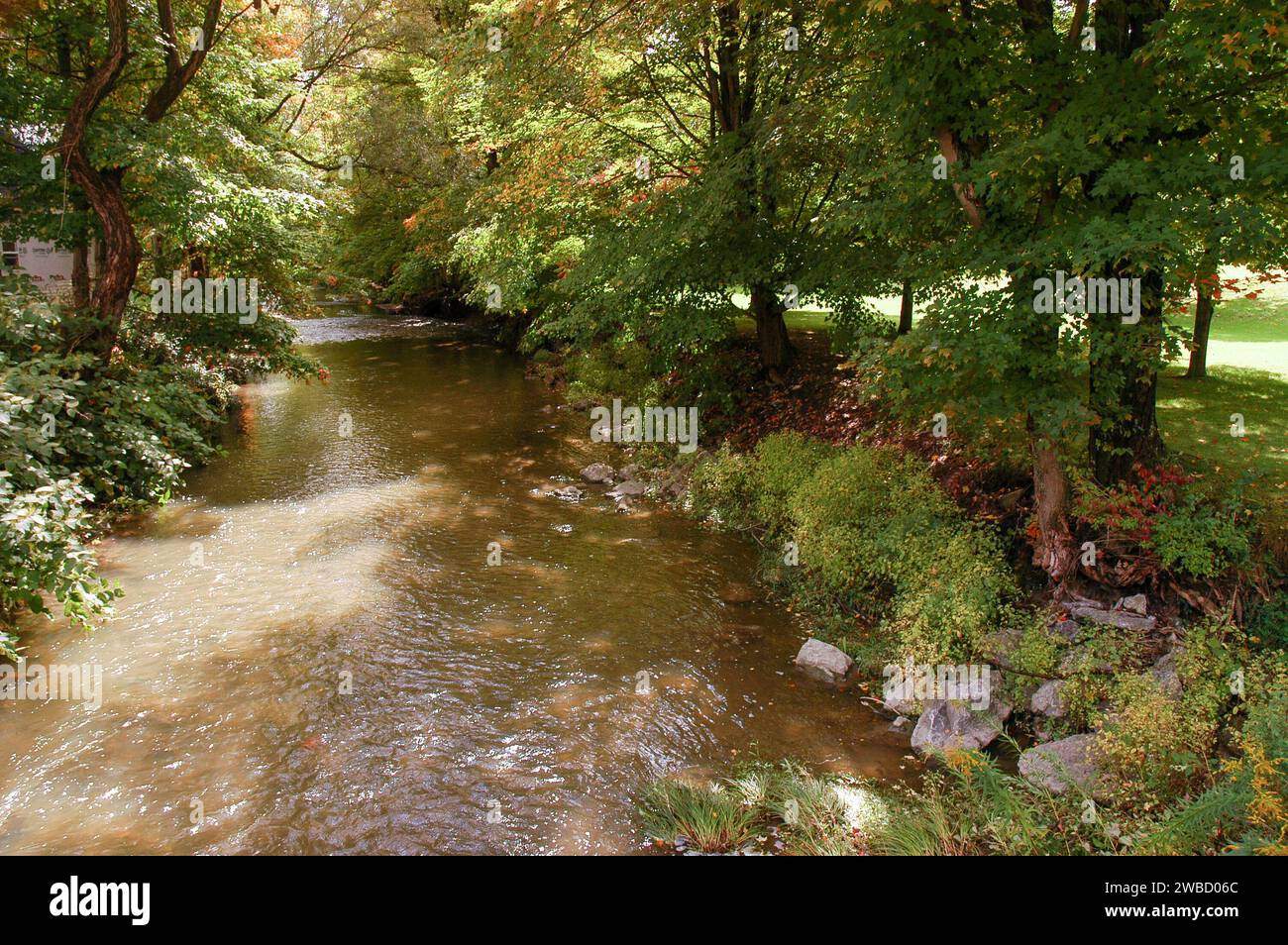 Conewango Creek in Sugar Grove, Pennsylvania, USA Stock Photo - Alamy