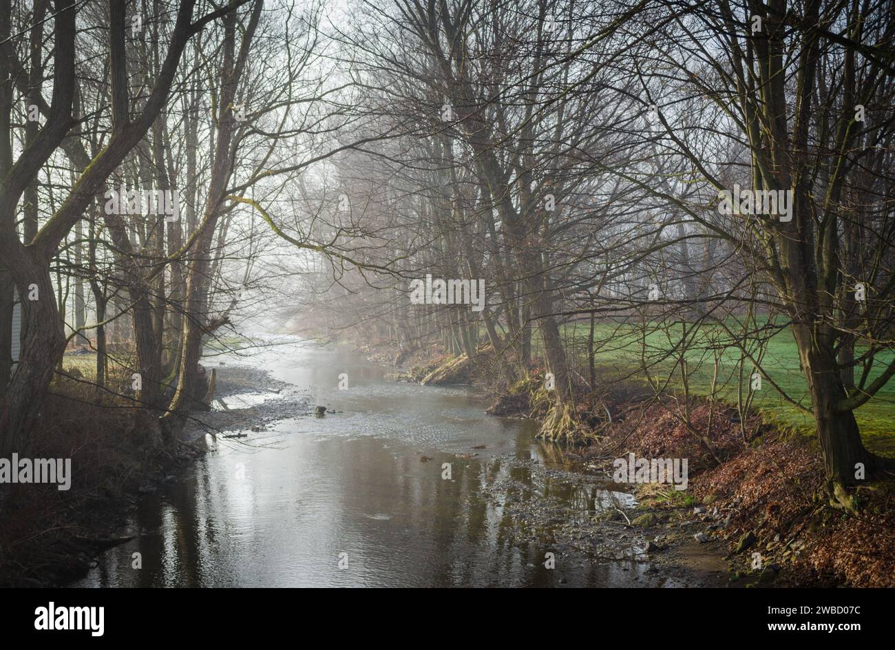 Conewango creek ecology hi-res stock photography and images - Alamy