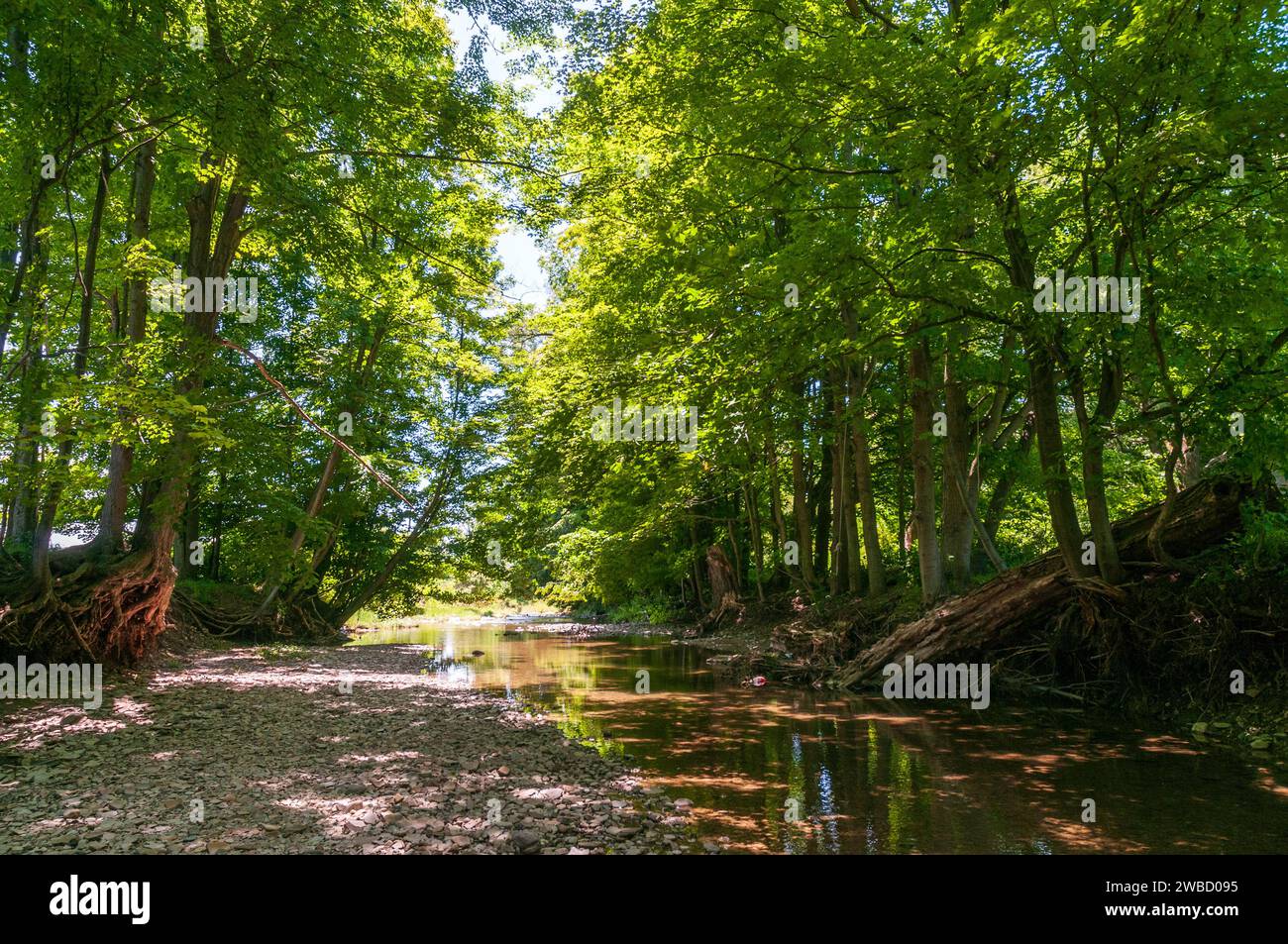 Conewango Creek in Sugar Grove, Pennsylvania, USA Stock Photo - Alamy