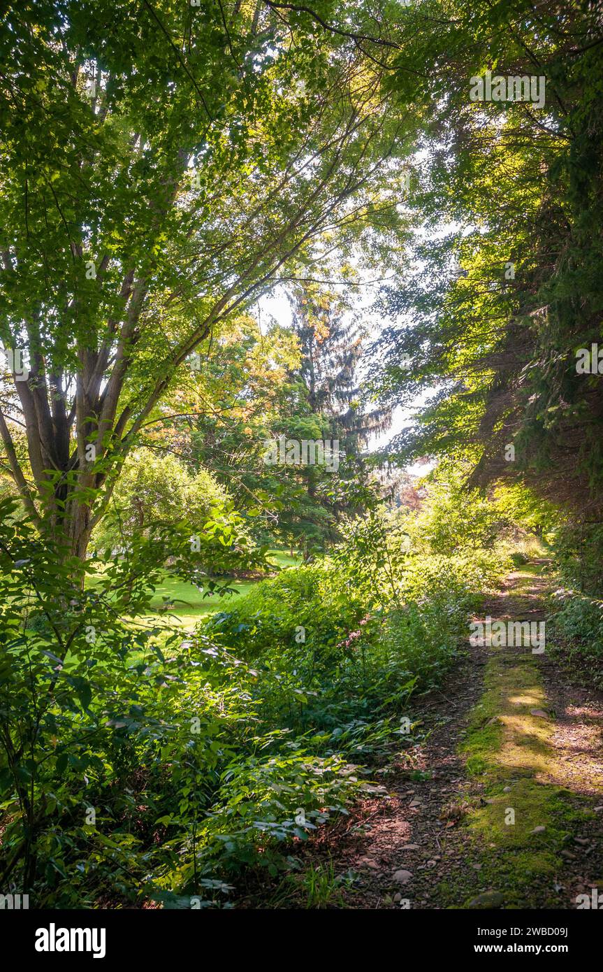 Sugar grove backroads hi-res stock photography and images - Alamy