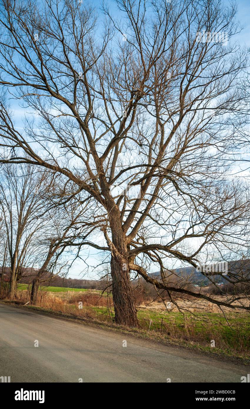 Pennsylvania backroads hi-res stock photography and images - Alamy