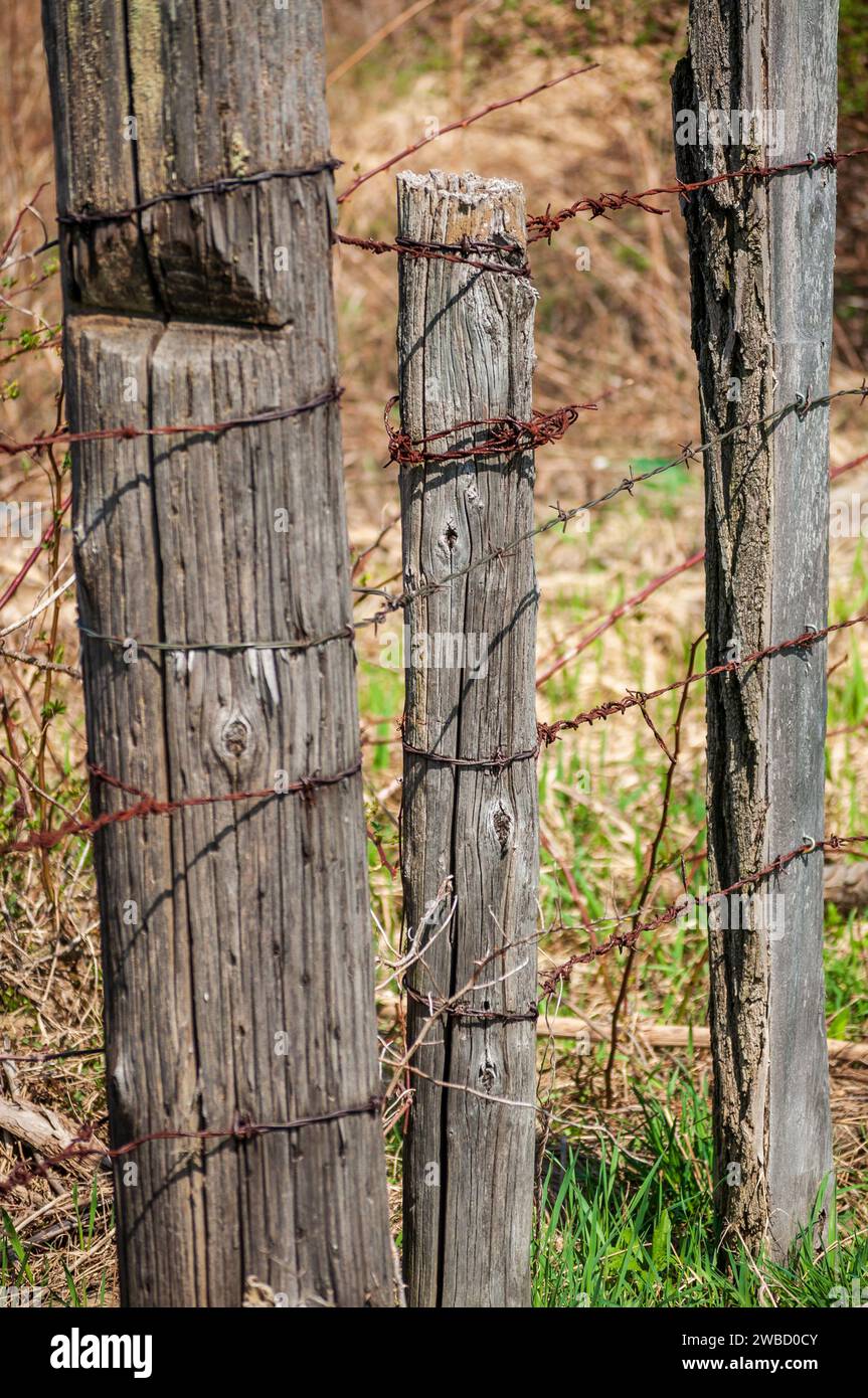 Texture of Rusty Barb Wire Fence Posts Stock Photo - Alamy