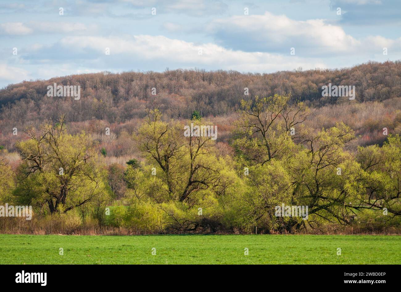 Forest Overlook at Sugar Grove, Pennsylvania, USA Stock Photo - Alamy