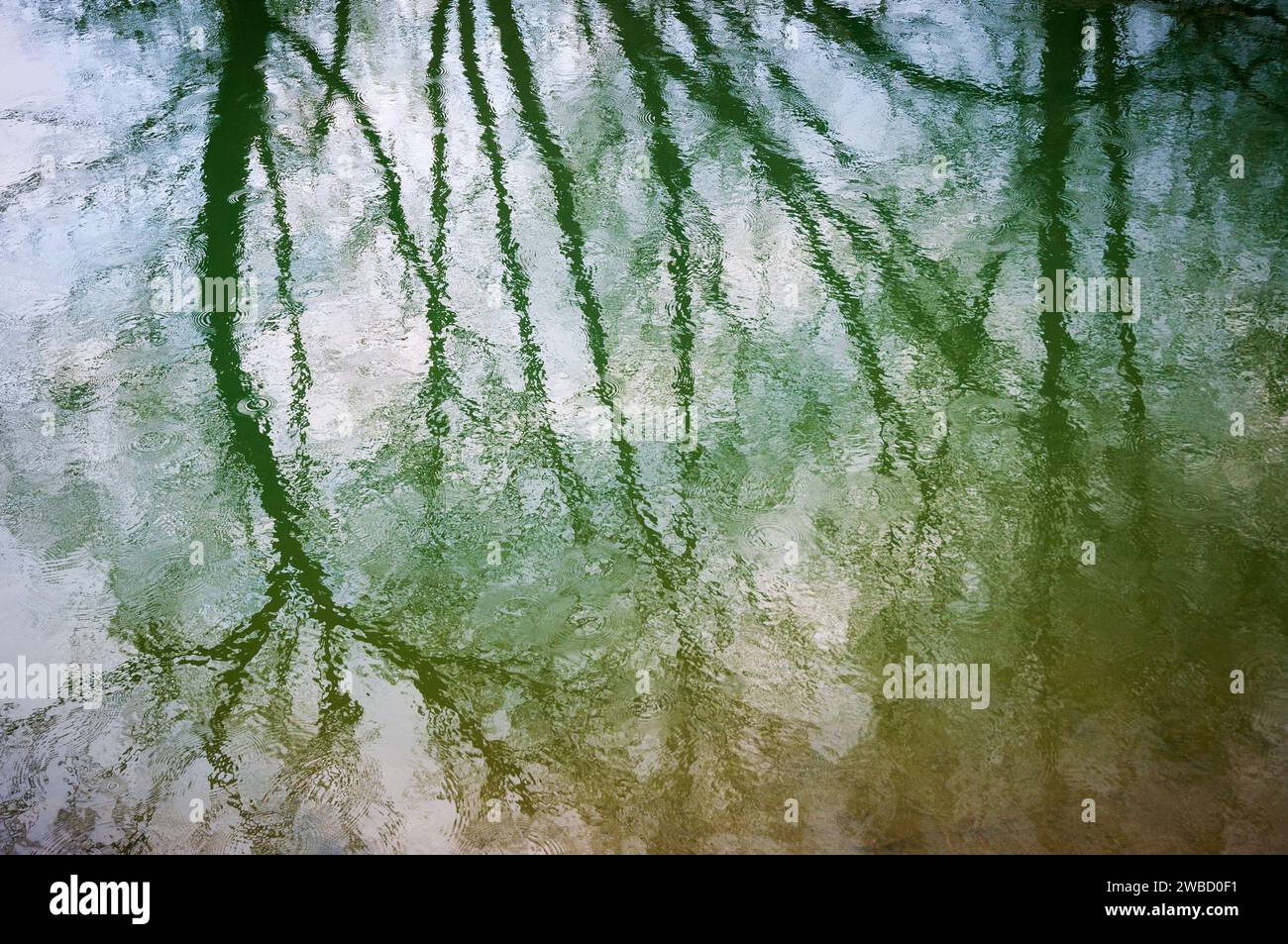 Reflection in the Water at Conewango Creek in Sugar Grove, Pennsylvania ...